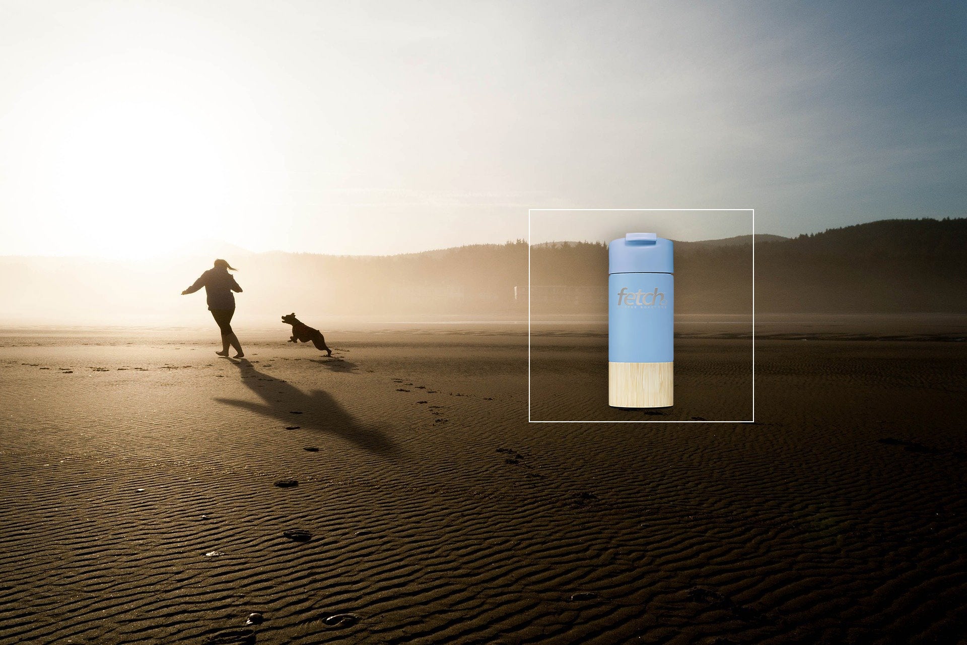 Brew and Sip – Fetch Coffee Roasters