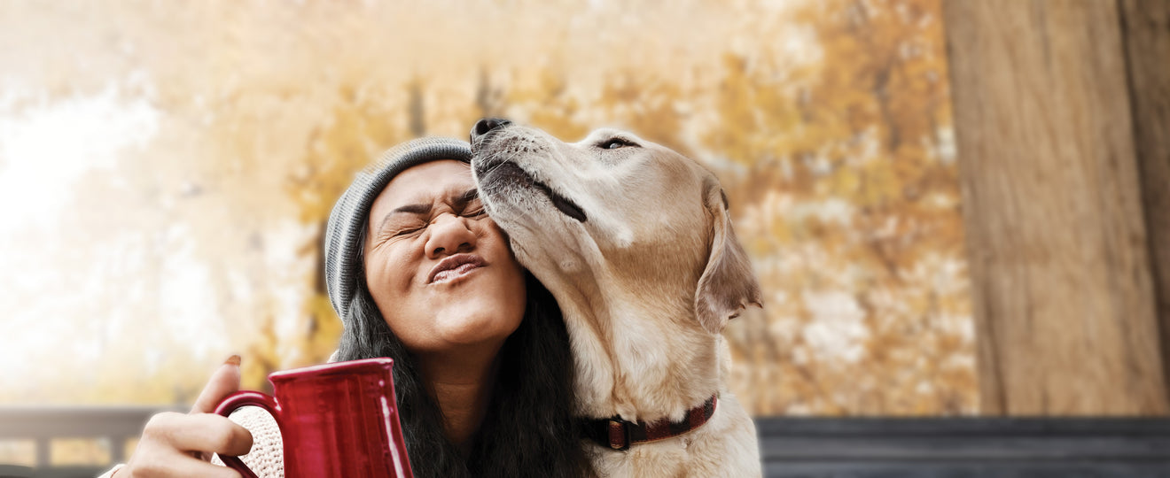 Fetch Coffee Roasters